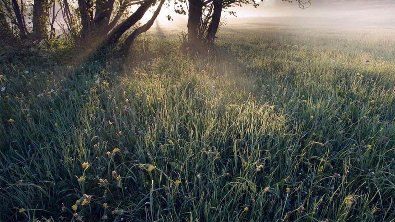Guide: Hvad er en bæredygtig virksomhed? | Nordea